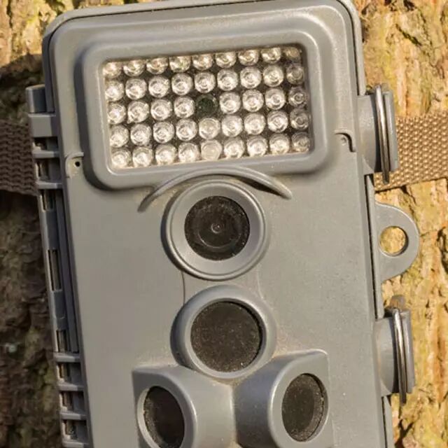 Comment choisir un piège photographique, surveillance, chasse, animaux ...